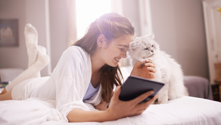 The 5 Best Cat Videos You Need To Watch For July - CatTime