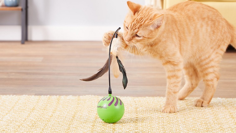 5 Of The Best Toys To Bond With Your Cat During Shelter In Place - CatTime