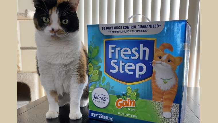 Want To Stop Litter Box Stink Before It Starts? Try Fresh Step® Cat ...