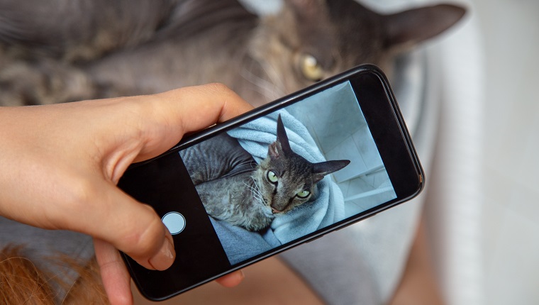 How To Take Cute Kitty Photos That Are IG Worthy - CatTime