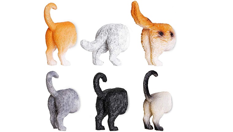 7 Cat-Themed Stocking Stuffers For The Cat Person In Your Life - CatTime