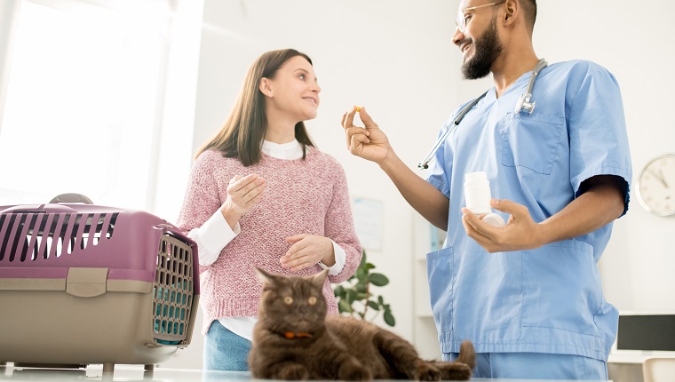 Aspirin For Cats: Uses, Dosage, & Side Effects - CatTime
