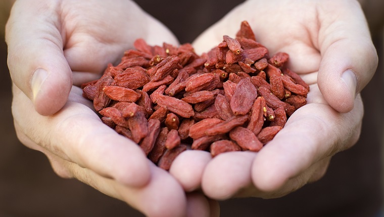 Can Cats Eat Goji Berries? Are Goji Berries Safe For Cats? - CatTime