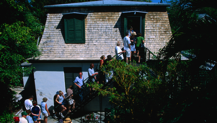 Cats at Ernest Hemingway's Estate Are Safe After Hurricane Ian | CatTime