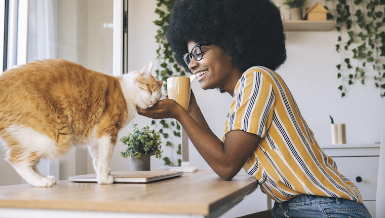 Cats Can Recognize Their Humans' Voices | CatTime