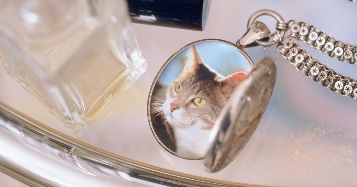 Meaningful Ways to Memorialize Your Cat