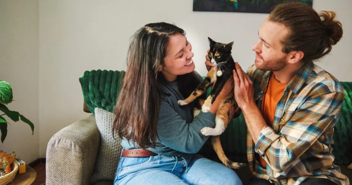 The Wedding Crasher: Newlyweds Adopt Surprise Cat Guest