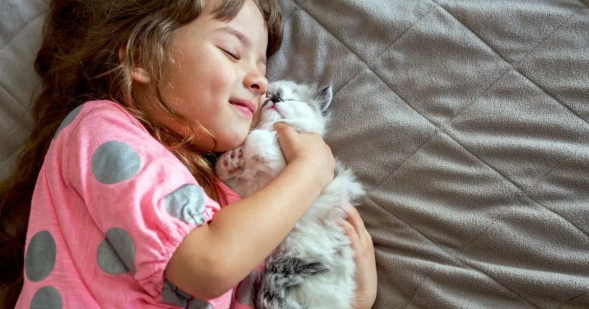 Rescue Kitten & Girl's Bond Melts Hearts in Viral Instagram Video