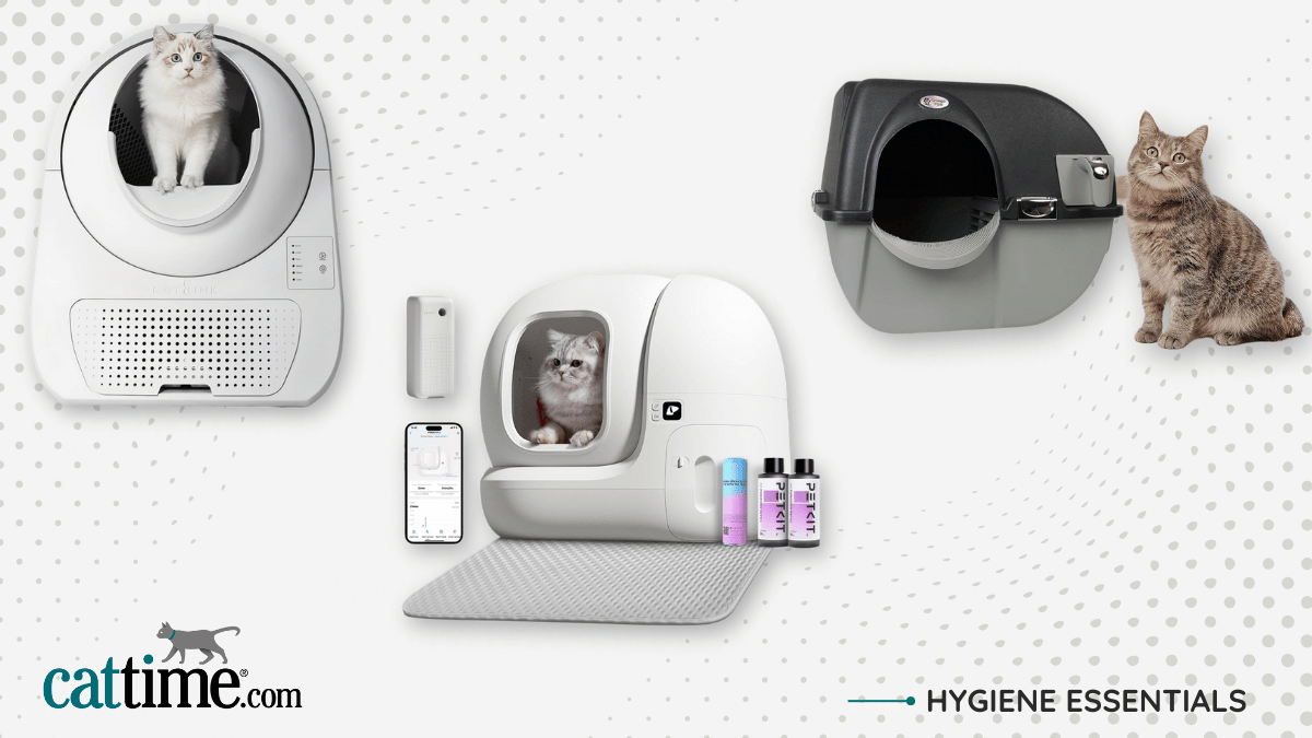 7 Best Automatic Cat Litter Boxes That Save You Time Cattime