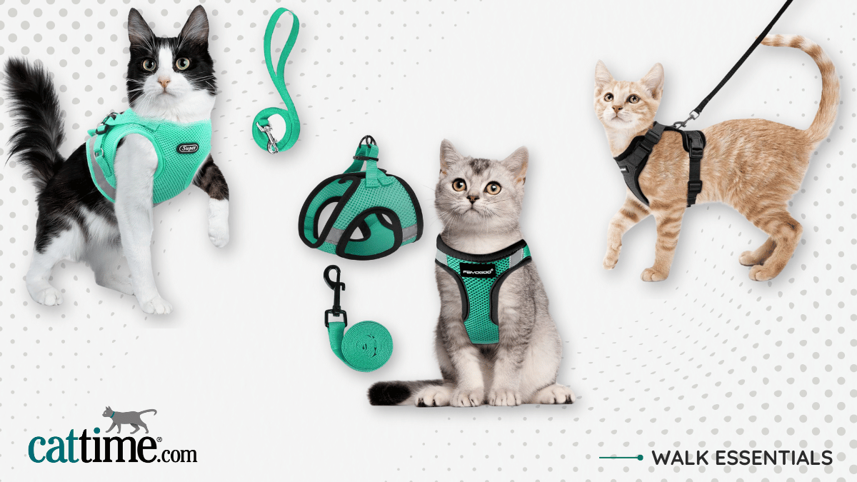 7 Best Cat Harnesses for Every Breed, Tested in 2025 - CatTime