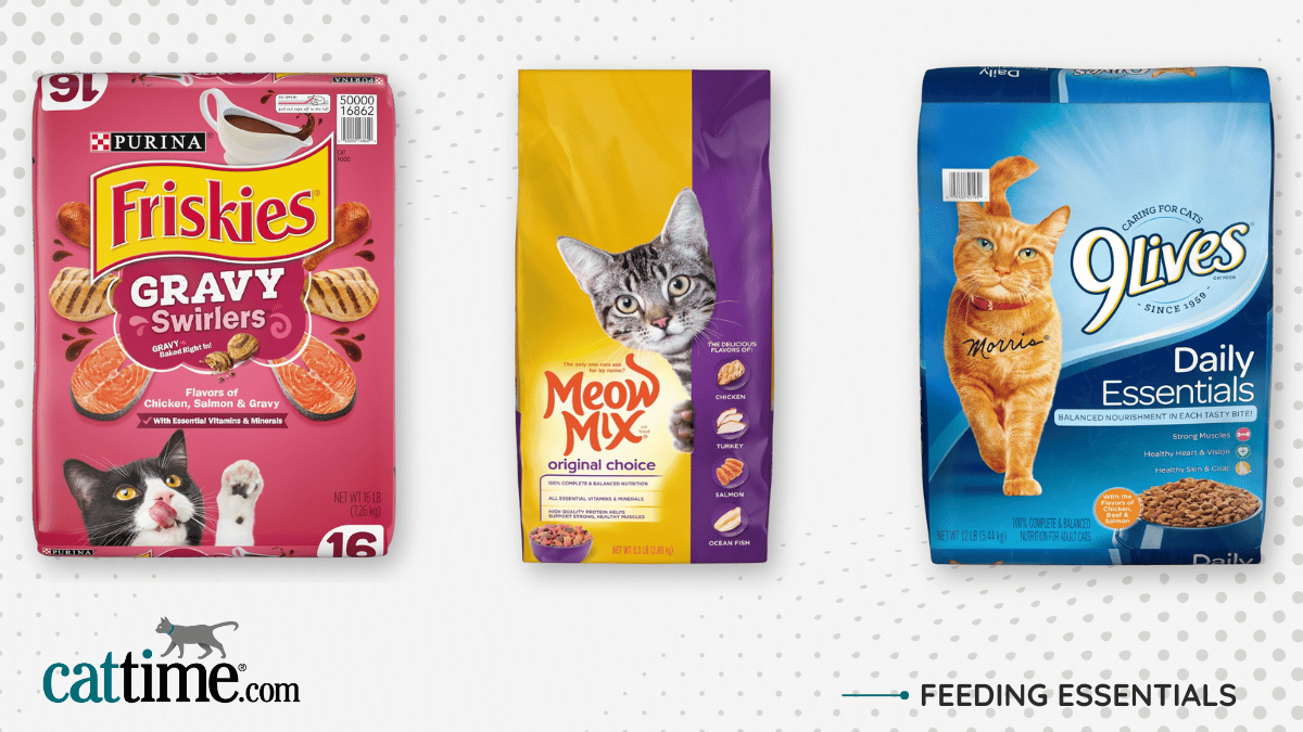 Weruva: Has the Cat Food Brand Issued a Recall in 2024?