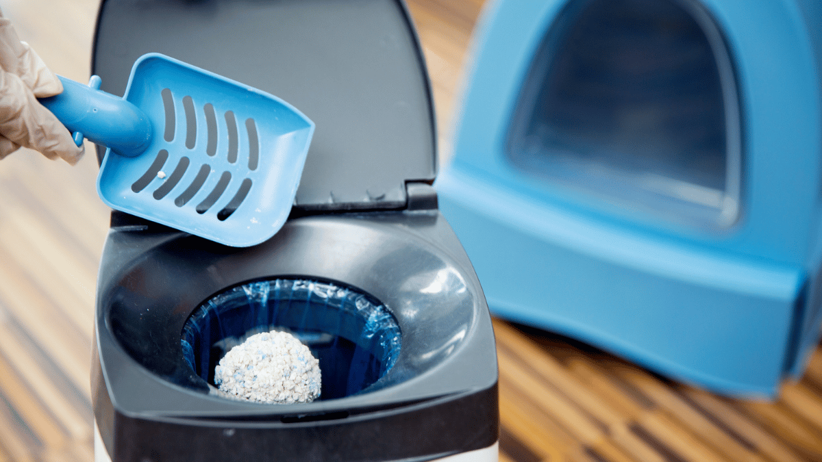 7 Best Automatic Cat Litter Boxes That Save You Time - CatTime