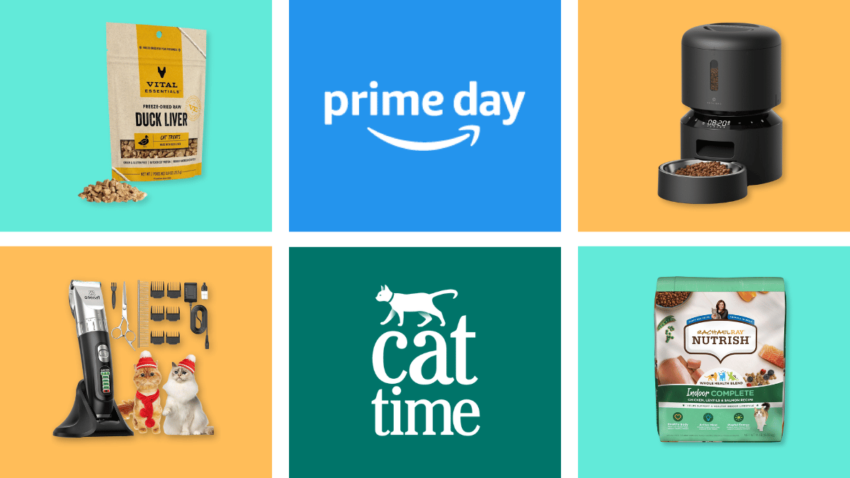 Amazon October Prime Big Deals Day 2024: Live Deals, Shopping Tips, & More