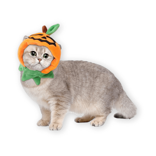 Top 30 Halloween Cat Costumes & Accessories