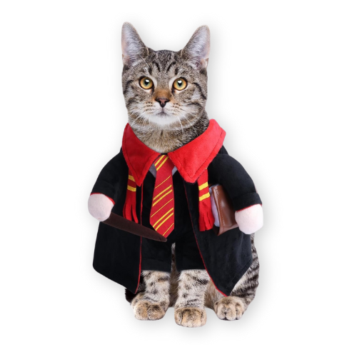 Top 30 Halloween Cat Costumes & Accessories
