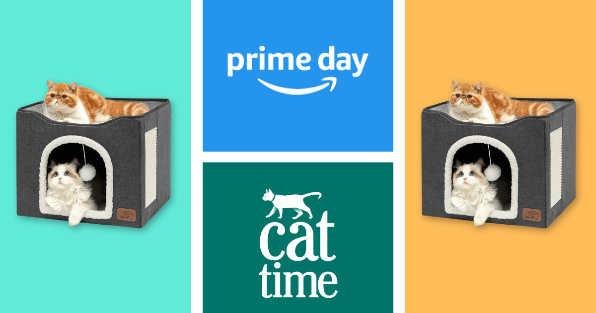 Bedsure Cat Bed And House Is 34% Off — Prime Big Deal Days