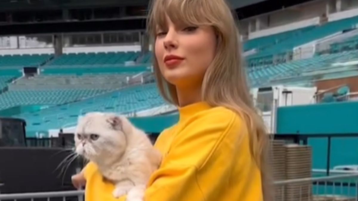 Taylor Swift And Her Cat