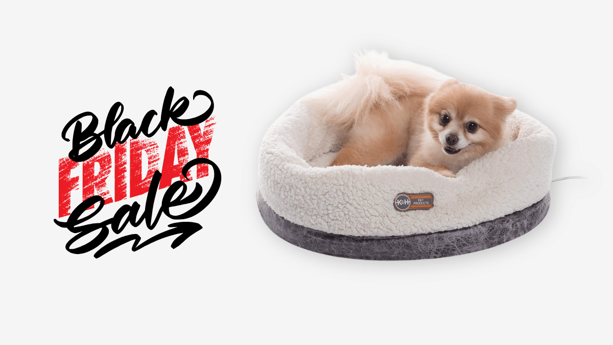 CatTime - The place for all things feline