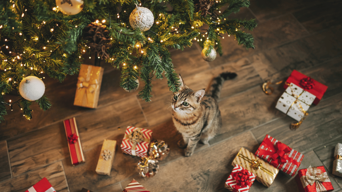 Deck The Paws With These 12 Cat-Inspired Christmas Decorations - CatTime