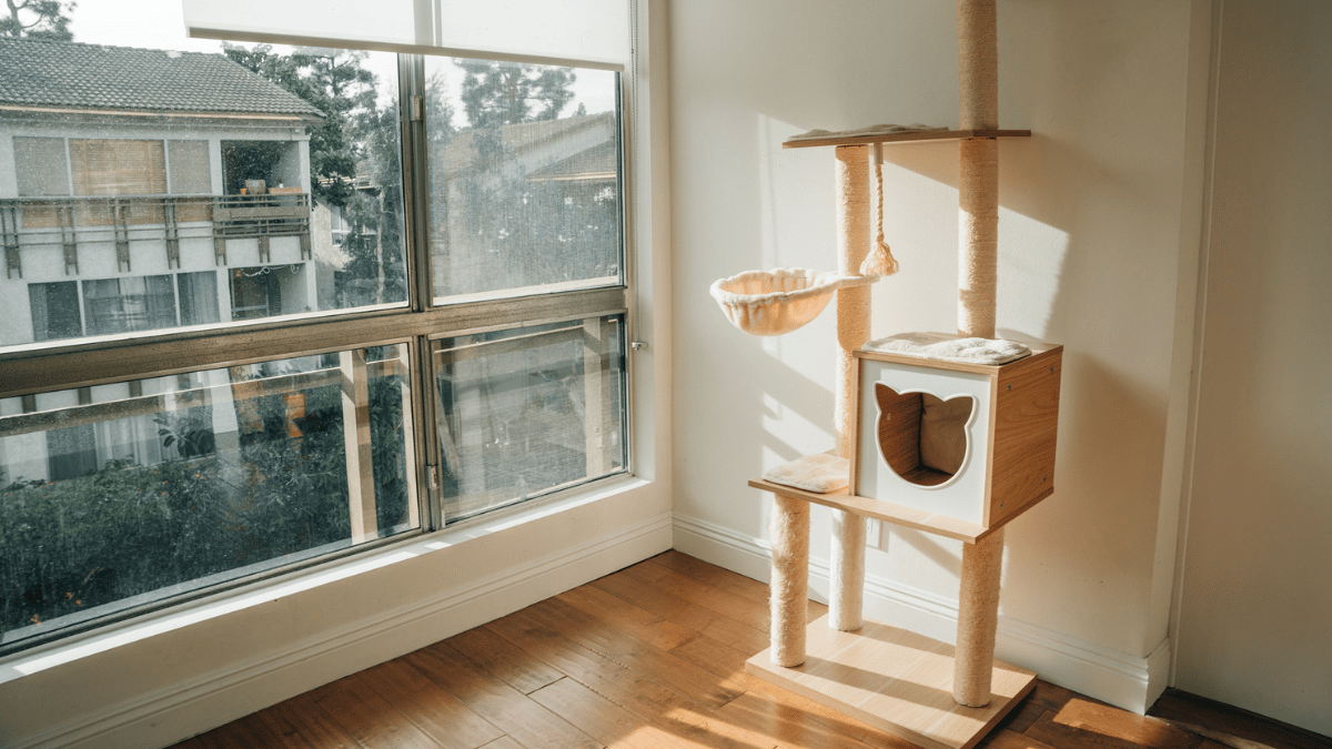 7 Best Cat Trees in 2025
