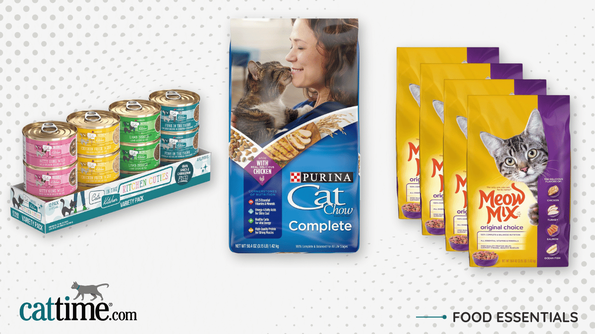 7 Best Cat Foods to Feed Your Feline in 2025