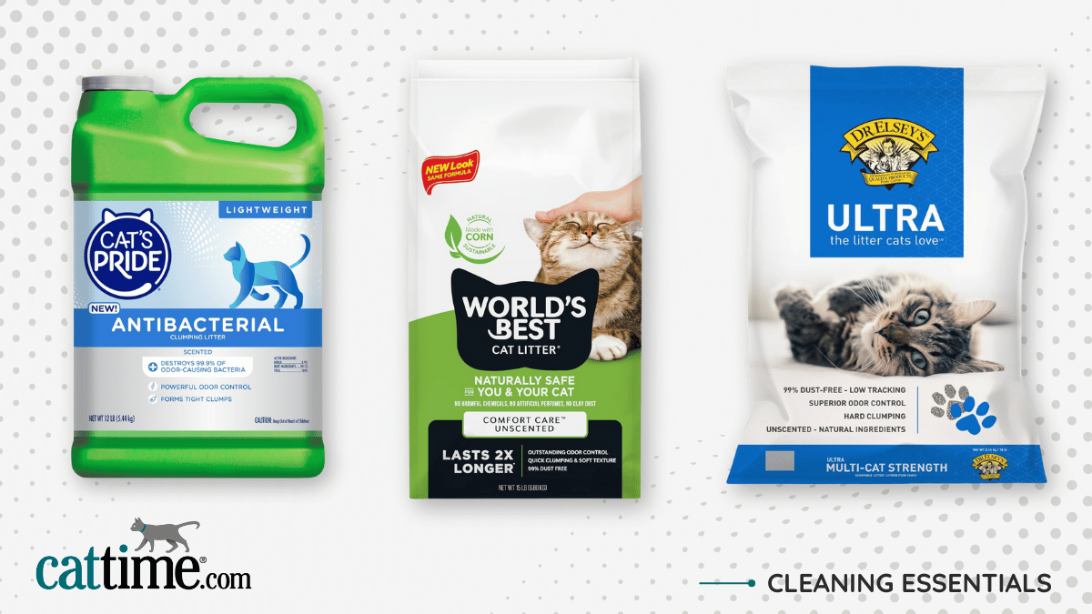 25 Best Cat Litter Options in 2025