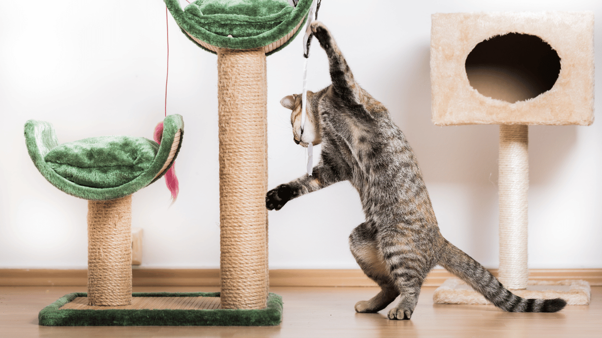 7 Best Cat Trees in 2025