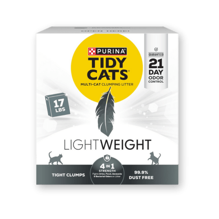 Best Cat Litter Options in 2025