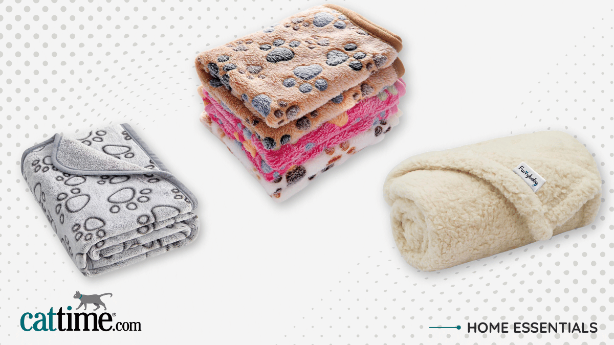 9 Best Cat Blankets — Approved by Kitties