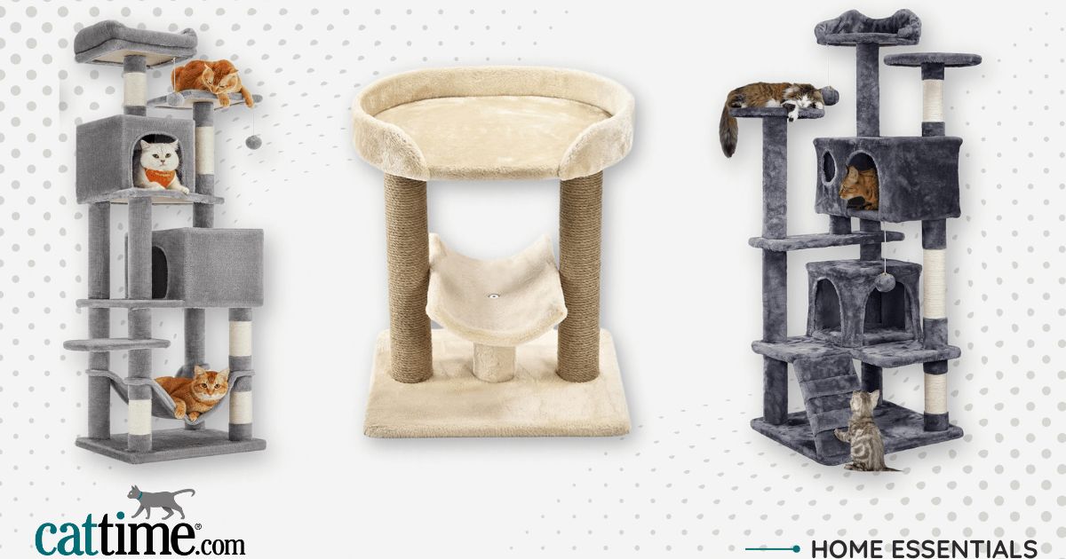 7 Best Cat Trees in 2025