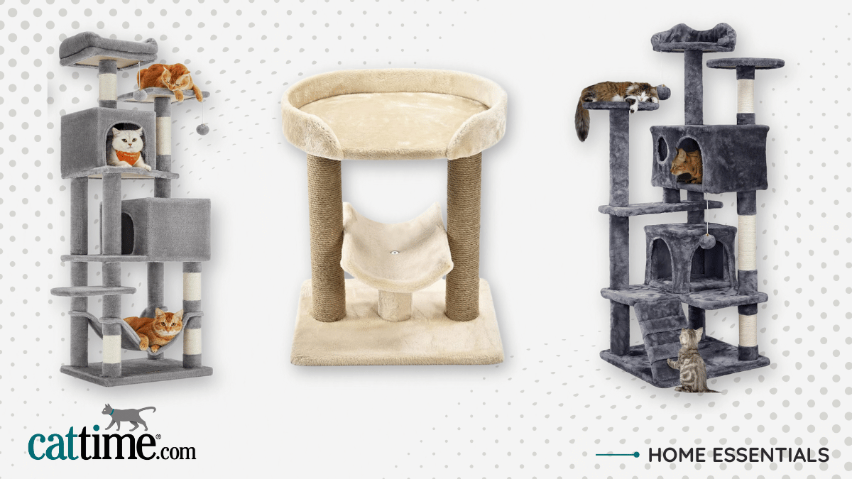 7 Best Cat Trees in 2025