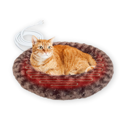 15 Best Heated Cat Beds and Houses