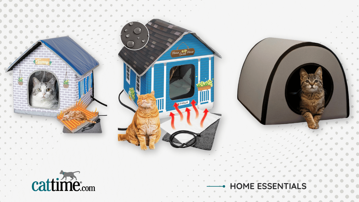 Best Heated Cat House for Outdoor Cats