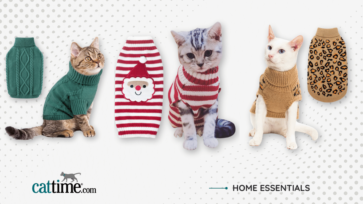 9 Best Cat Sweaters Your Kitty Will Love Wearing in the Winter