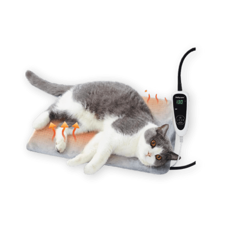15 Best Heated Cat Beds and Houses