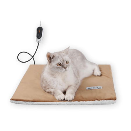15 Best Heated Cat Beds and Houses