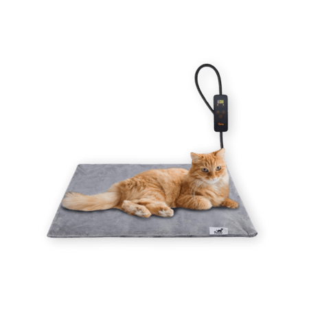 15 Best Heated Cat Beds and Houses