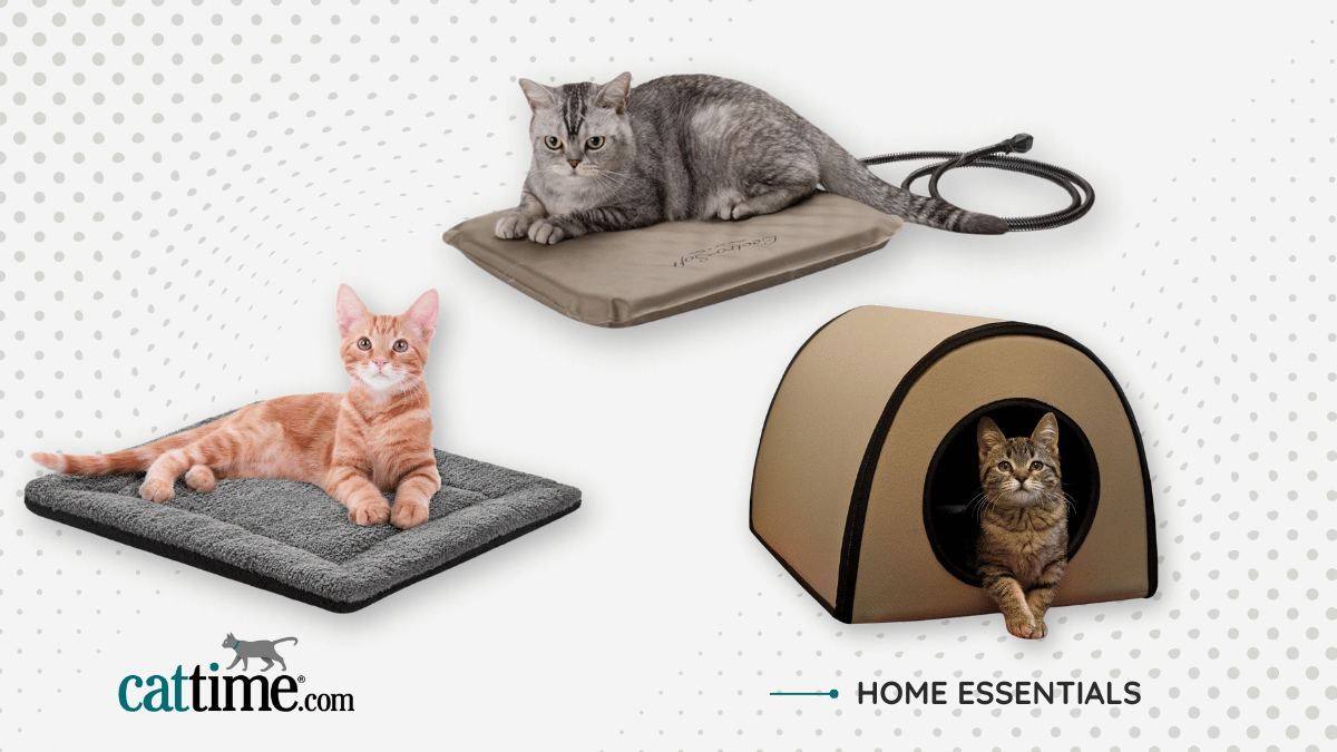 7 Best Travel-Friendly Heated Cat Beds and Houses — Reviewed - CatTime