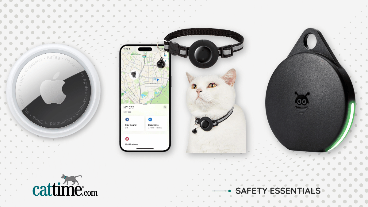 Best Cat GPS Trackers for Worry-Free Pet Parenting