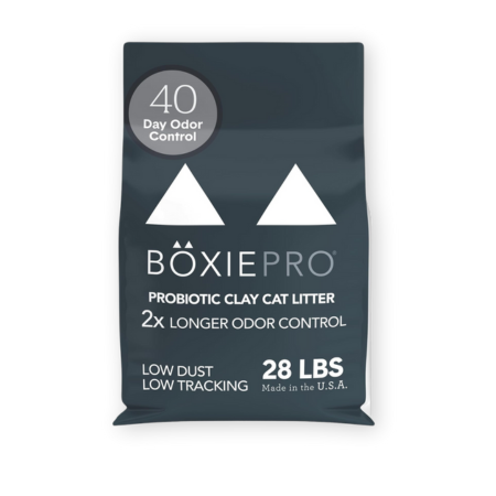 25 Best Cat Litter Options in 2025