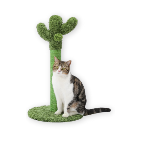 7 Best Cat Scratching Posts