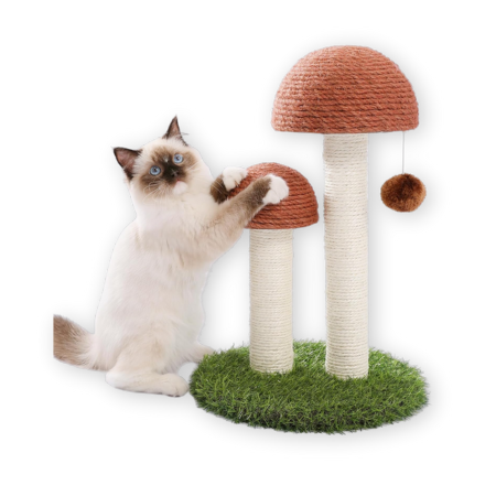 7 Best Cat Scratching Posts