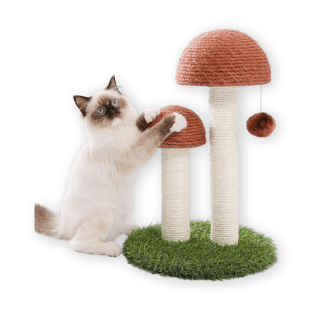 7 Best Cat Scratching Posts