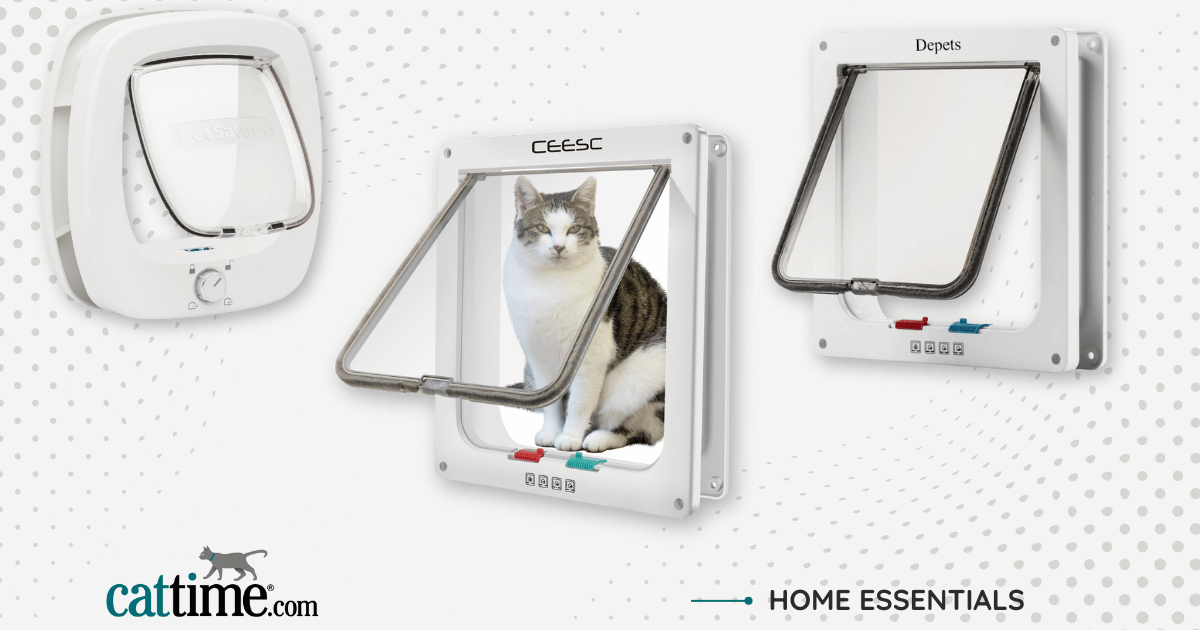 Best Cat Doors — Our Top Picks