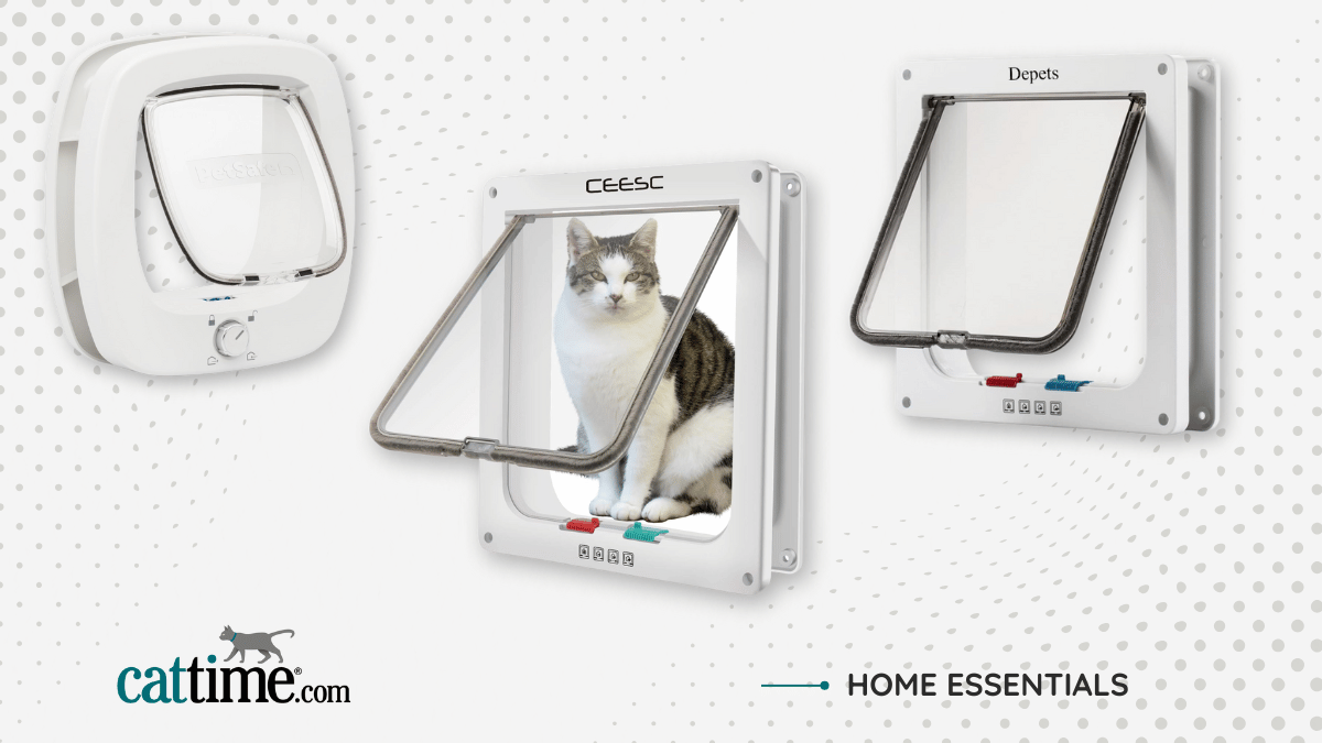 Best Cat Doors — Our Top Picks