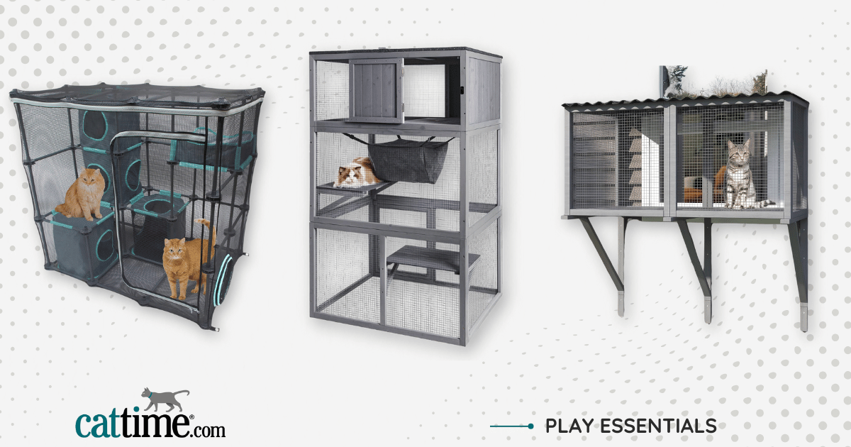 Best Catios to Provide Your Kitty With a Safe Outdoor Space