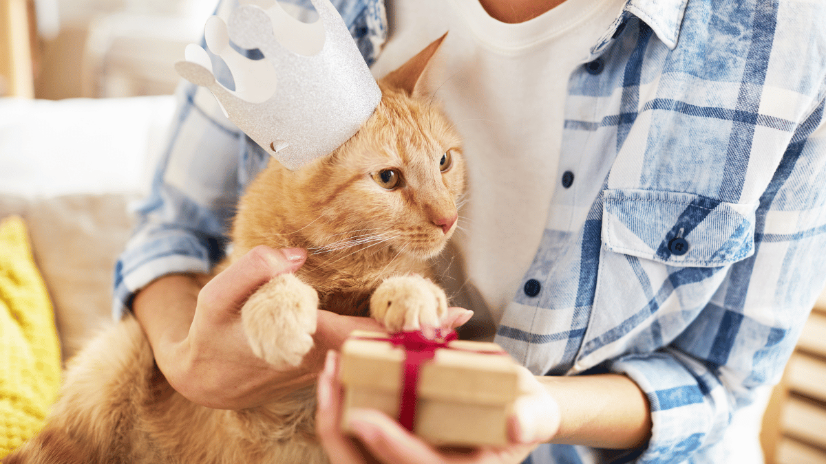 Shop Mother's Day Gifts for Cat Moms
