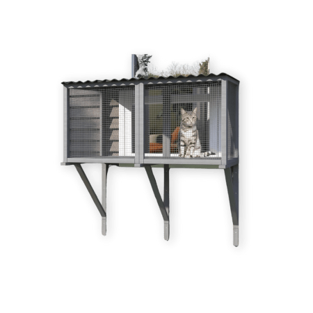 Best Catios to Provide Your Kitty With a Safe Outdoor Space