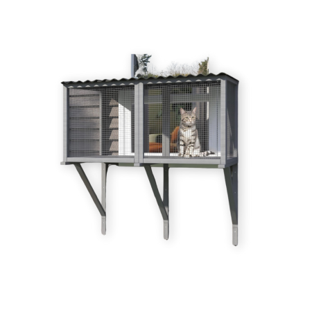 Best Catios to Provide Your Kitty With a Safe Outdoor Space