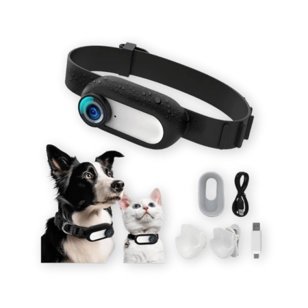 12 Best Cat Camera Collars — See the World Through Their Eyes